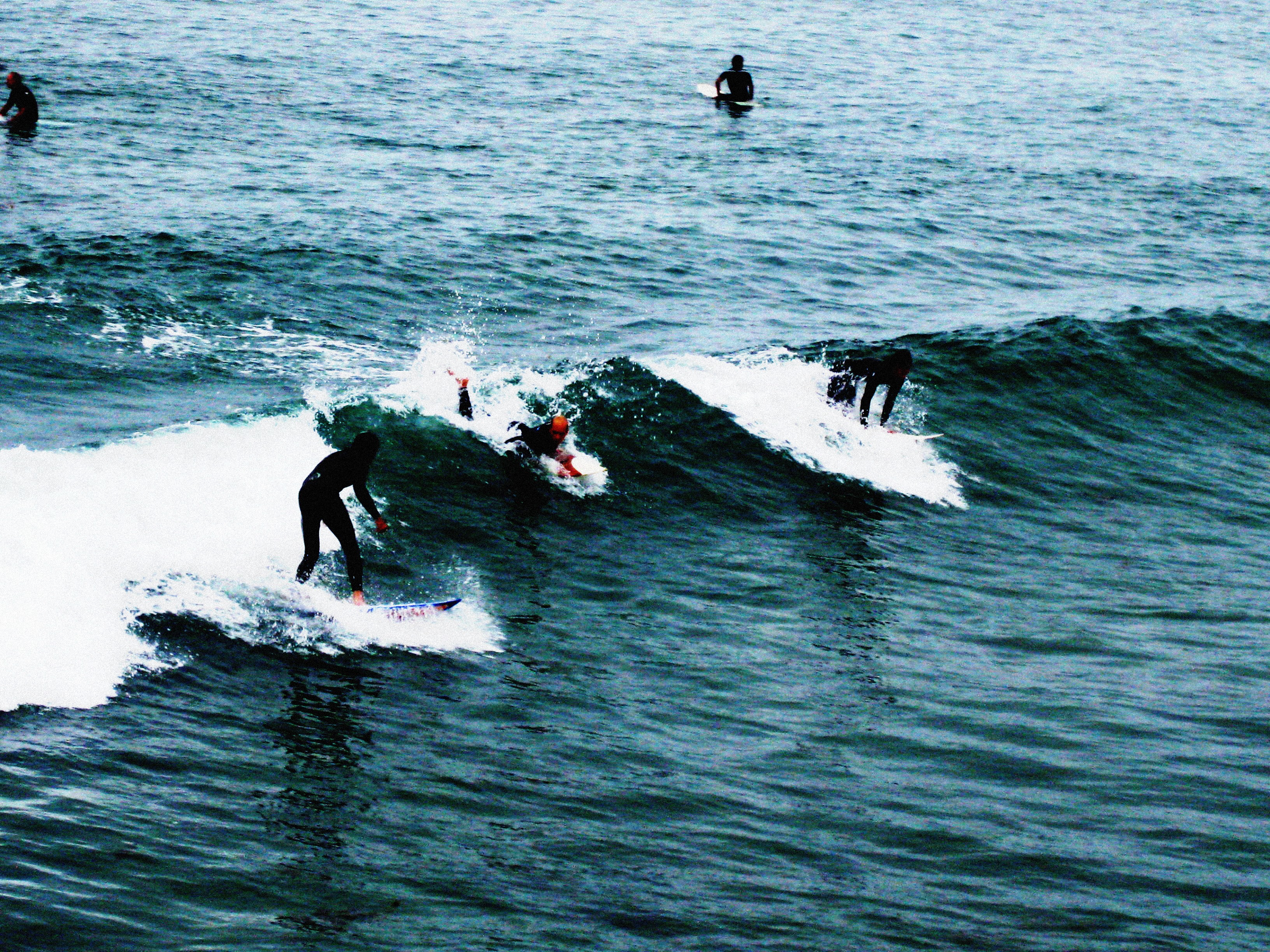 pink lamb A Mother's Love